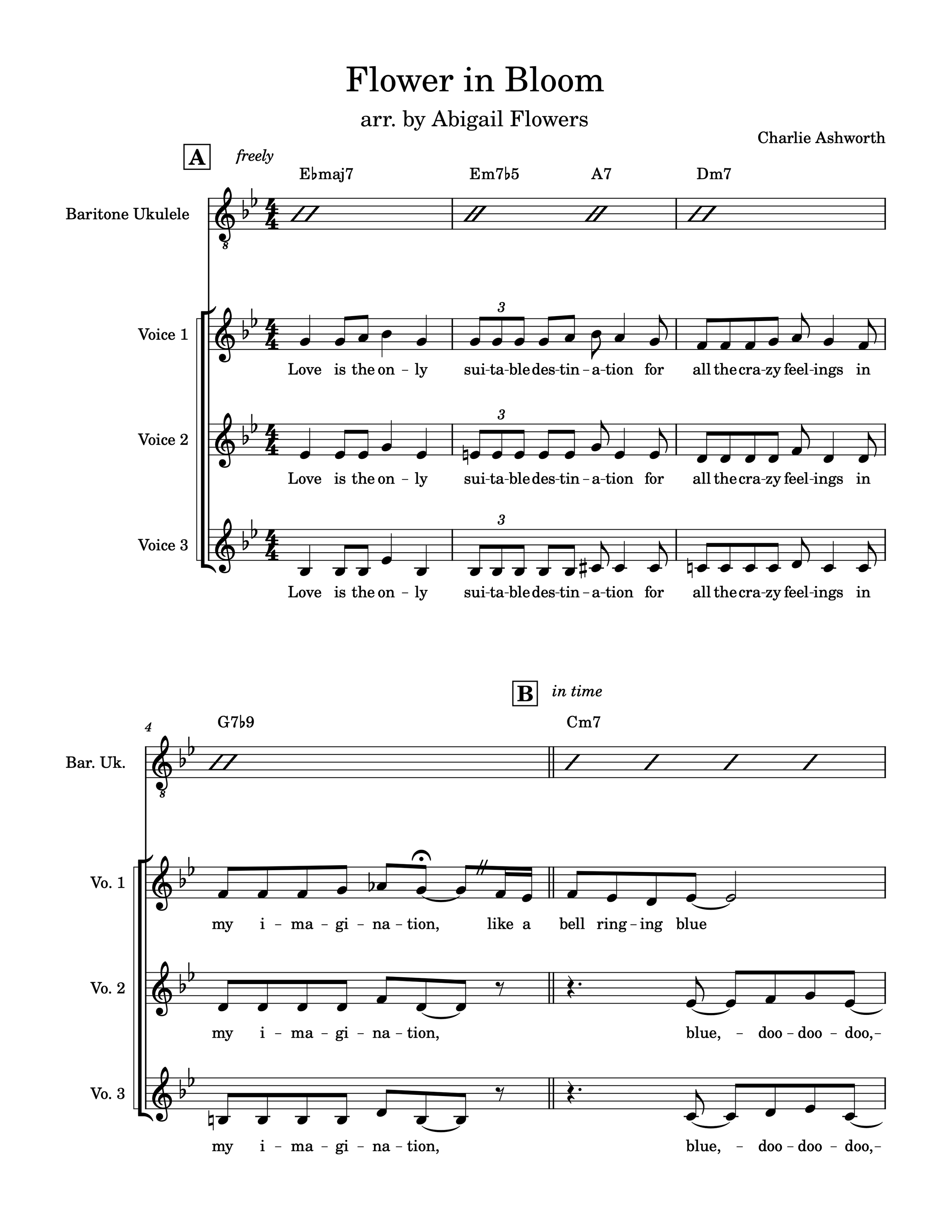 Store — Abigail Flowers