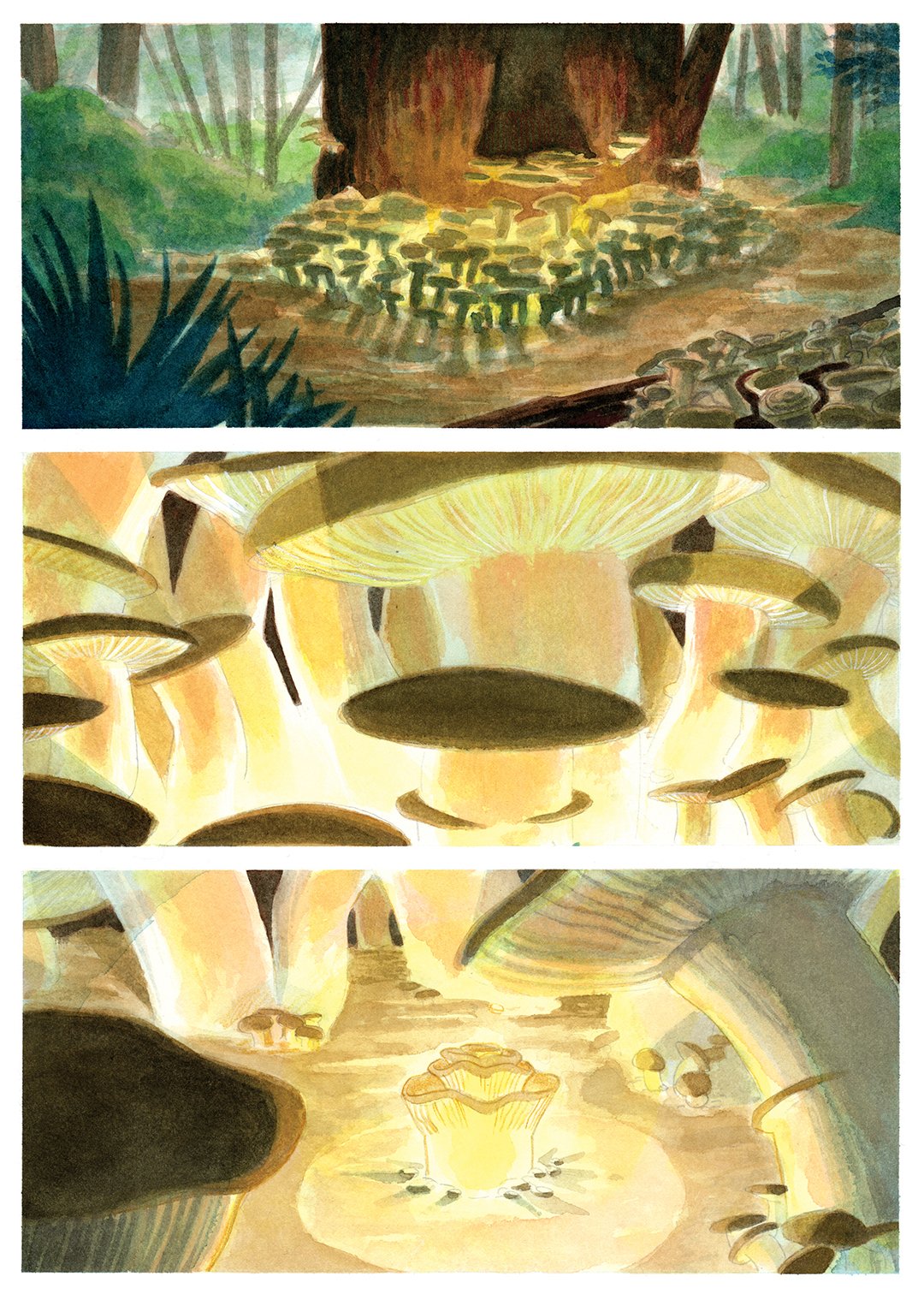 mushroom trip — morgan k sawyer