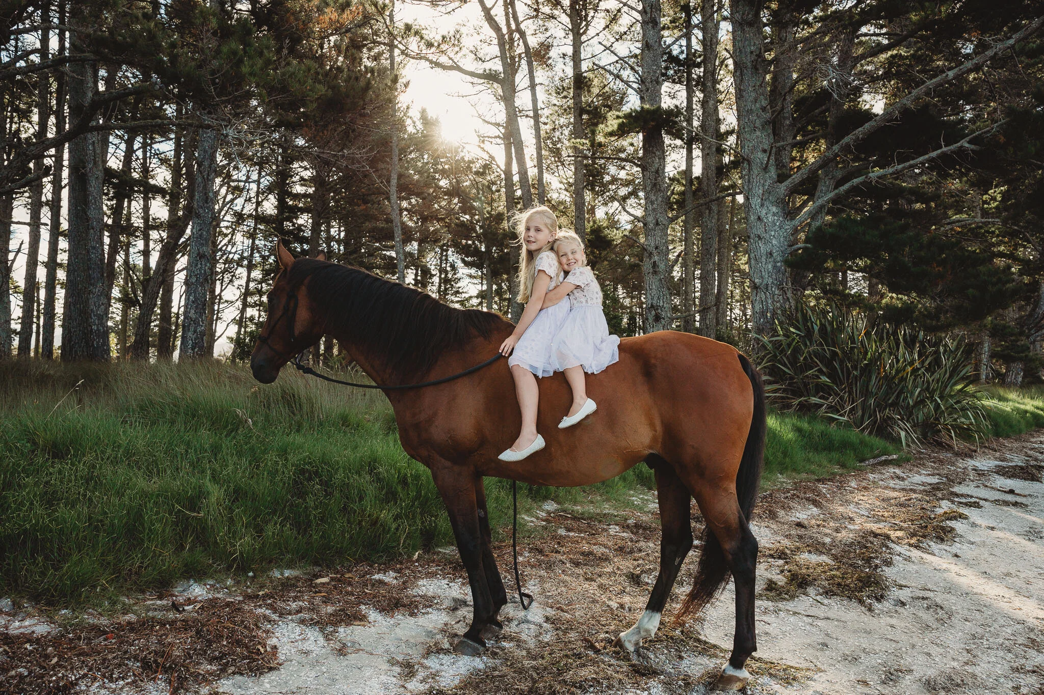 The Parkins family photos — Anna Menendez Photography