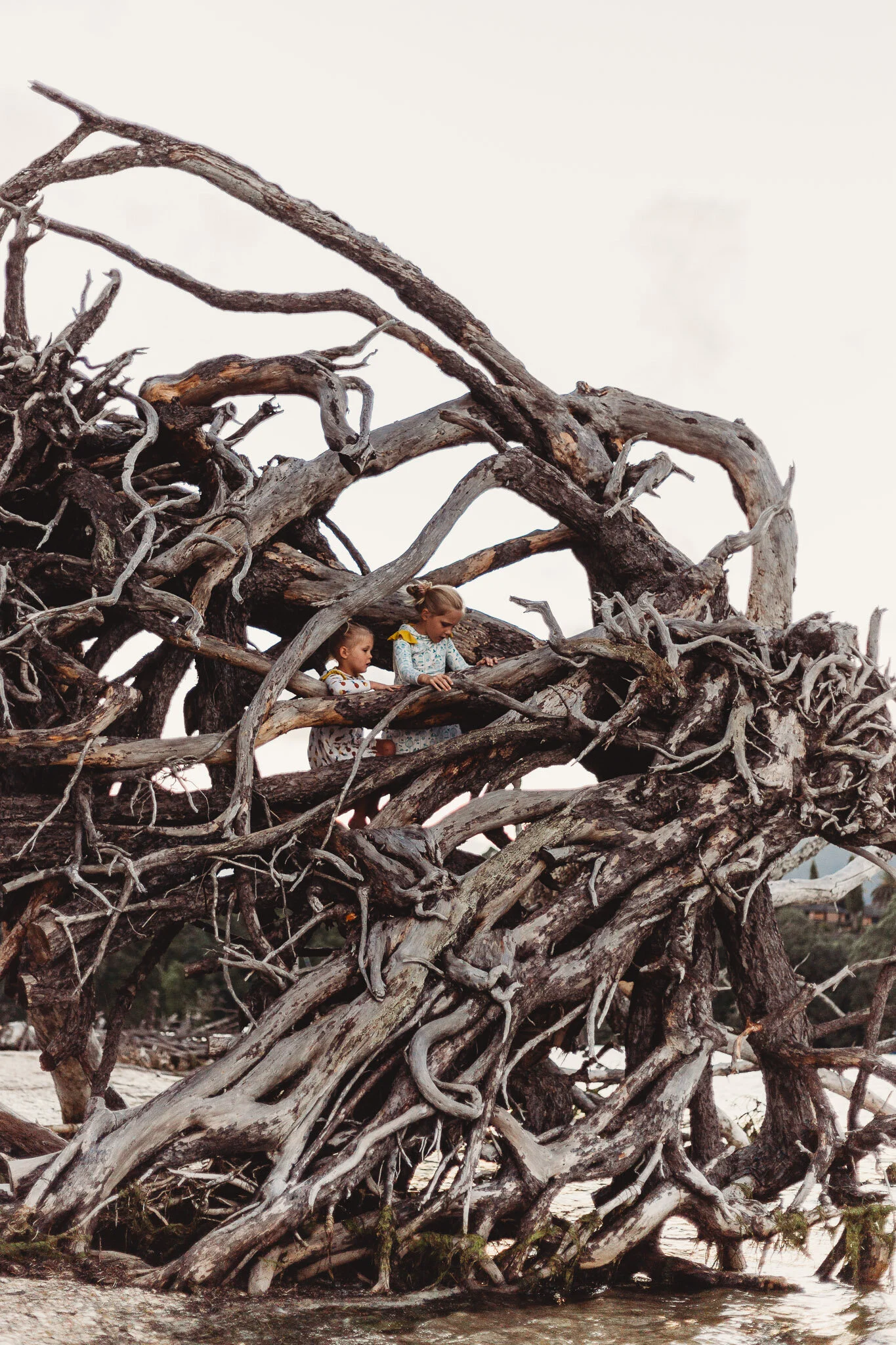 The Parkins family photos — Anna Menendez Photography