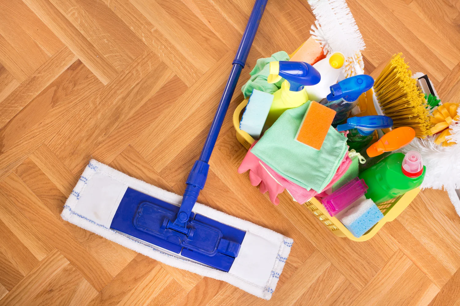 Best Maid Service Seattle | 206-929-5990 | Home Cleaning Services ...
