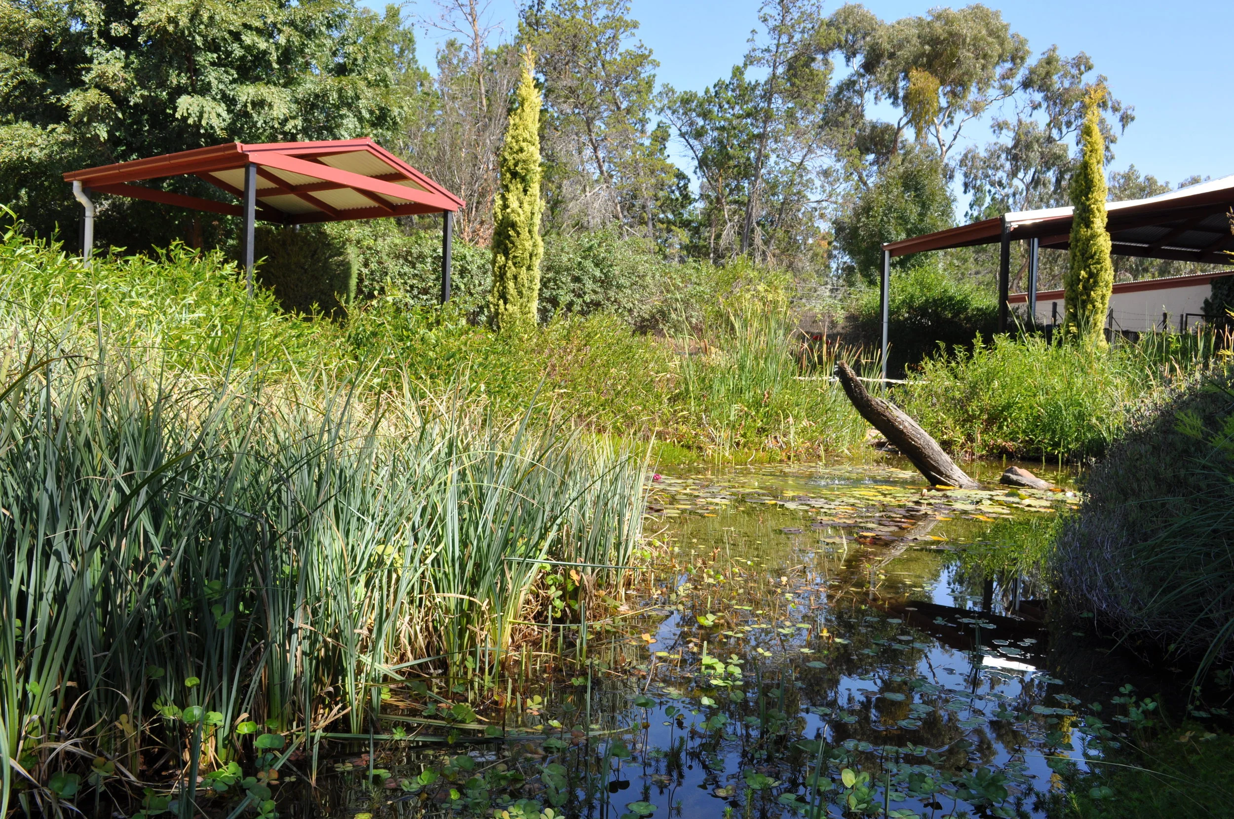 Our Centre — Barossa Bowland and Mini Golf