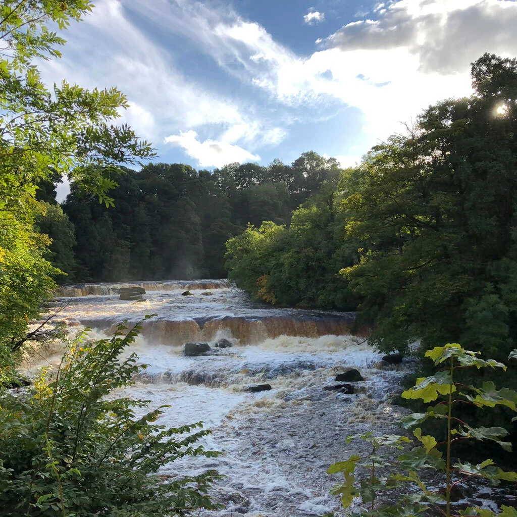 Hamish Mackay-Lewis | Leadership, Life Coach and Facilitator