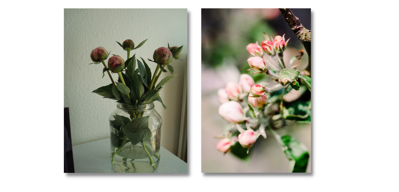 Online fotokursus for begyndere - lær nemt at fotografere