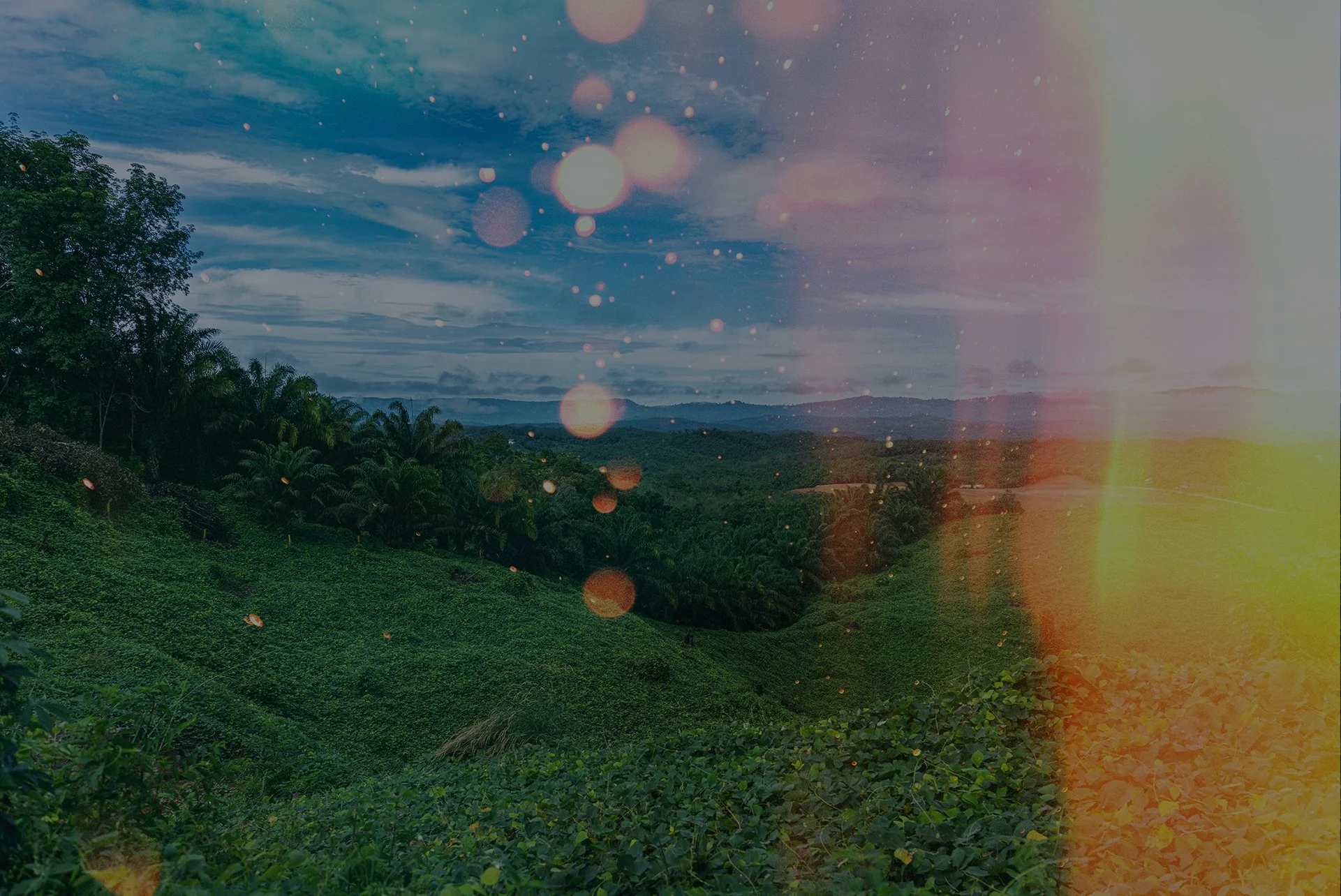 Global & Local Missions — Christ Community Church