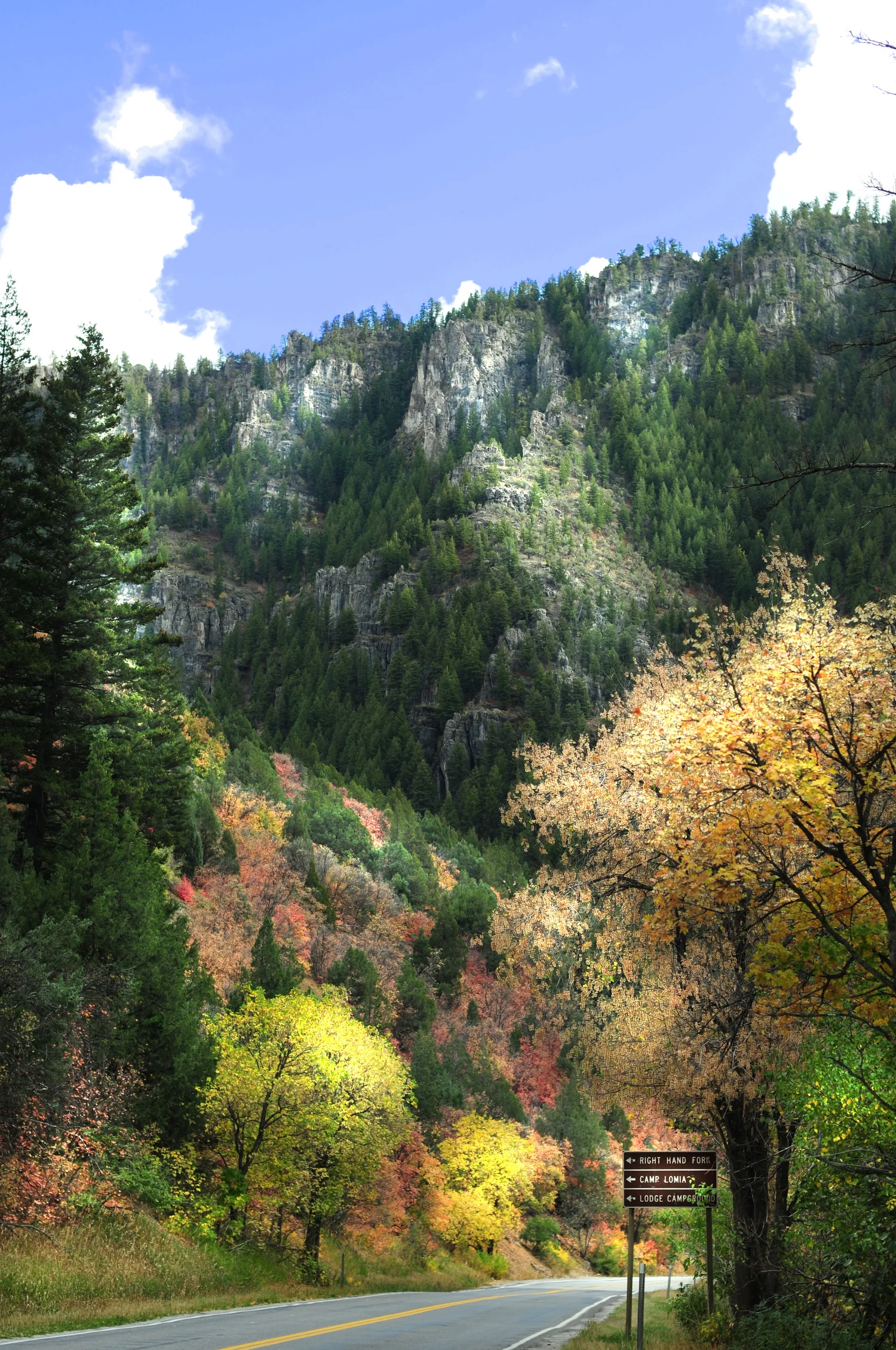Logan Canyon — Stokes Nature Center