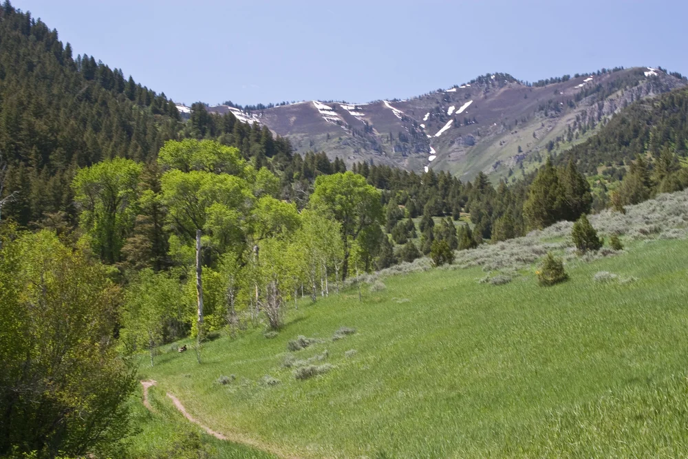Logan Canyon — Stokes Nature Center