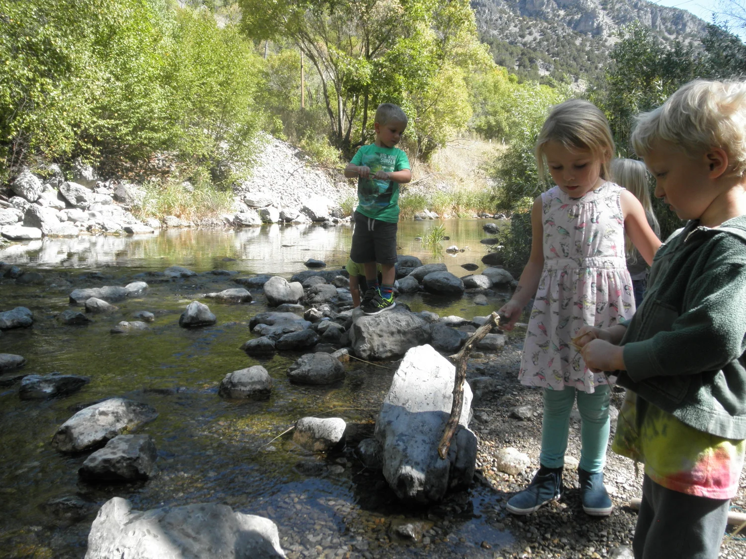 Logan Canyon — Stokes Nature Center