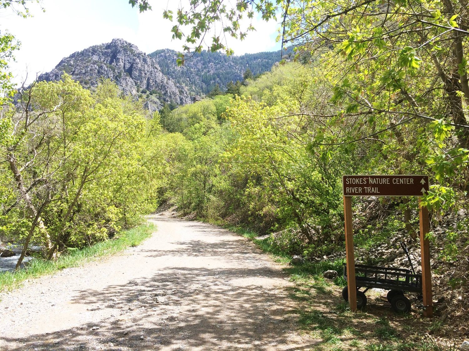 Stokes Nature Center — Stokes Nature Center