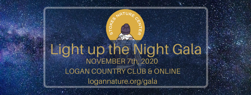 23rd Annual 'Light Up the Night' Gala — Stokes Nature Center