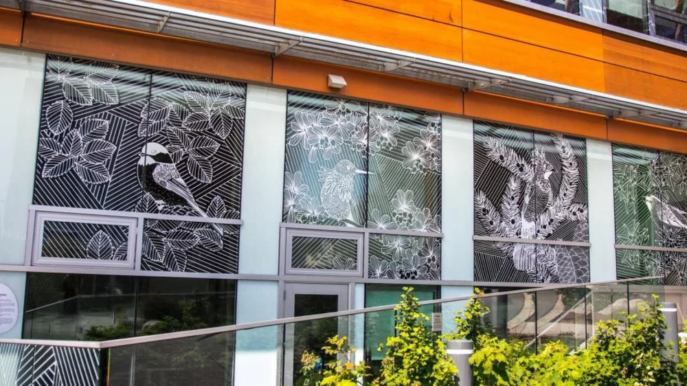 Birds Eye View Game — Stokes Nature Center