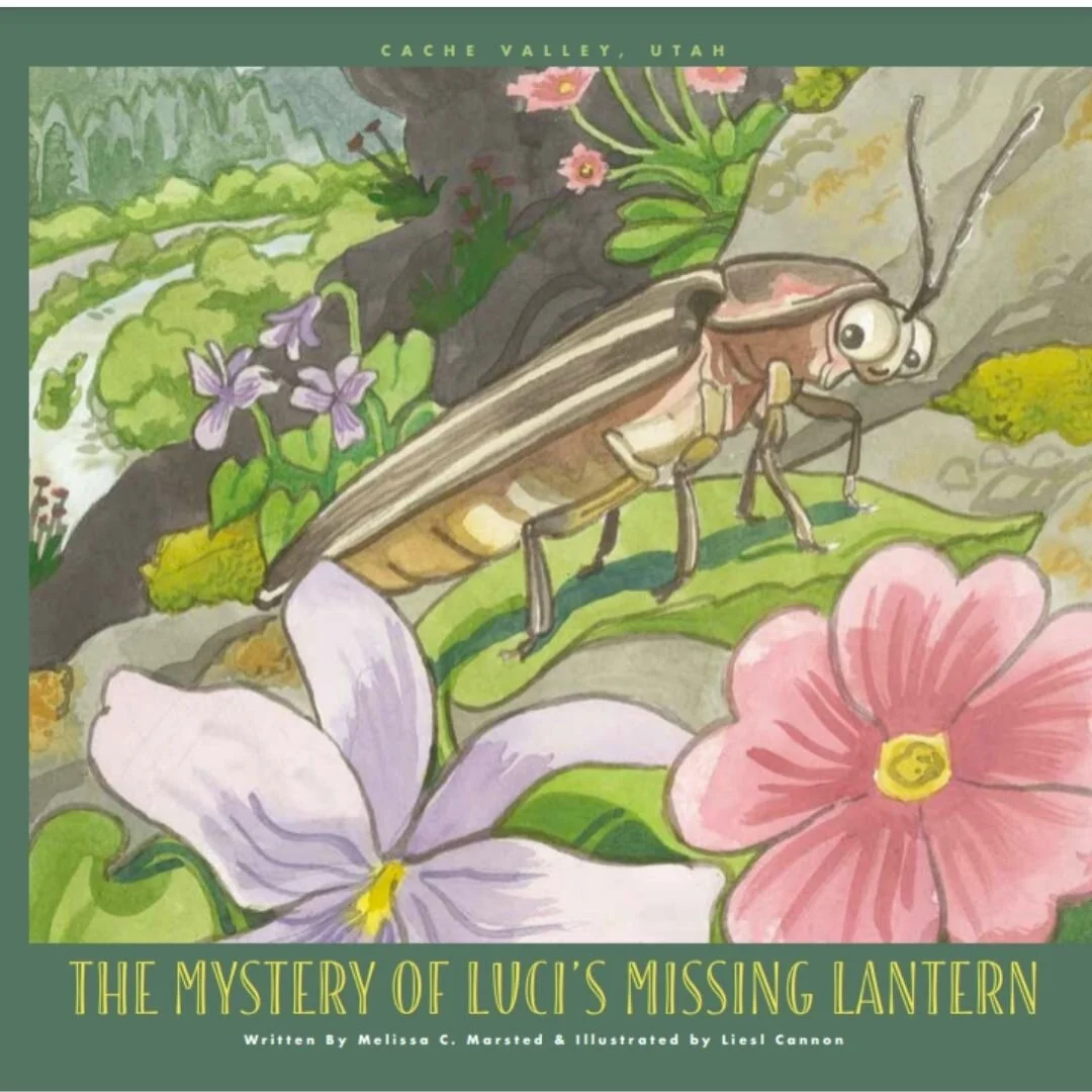 The Mystery of Luci's Missing Lantern (Children's Book) — Stokes Nature ...