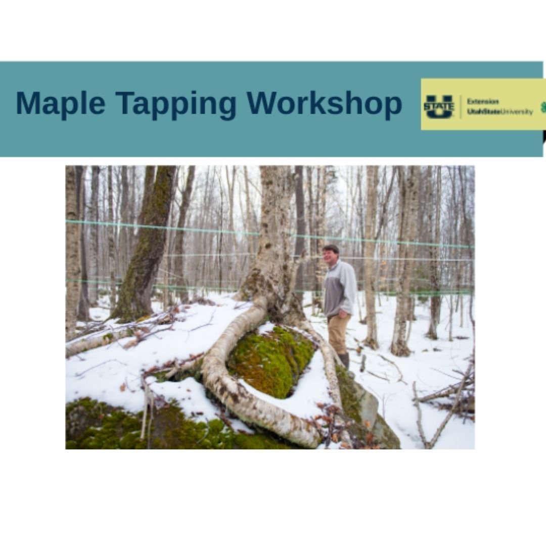 Maple Gravity & Vacuum Systems — Stokes Nature Center