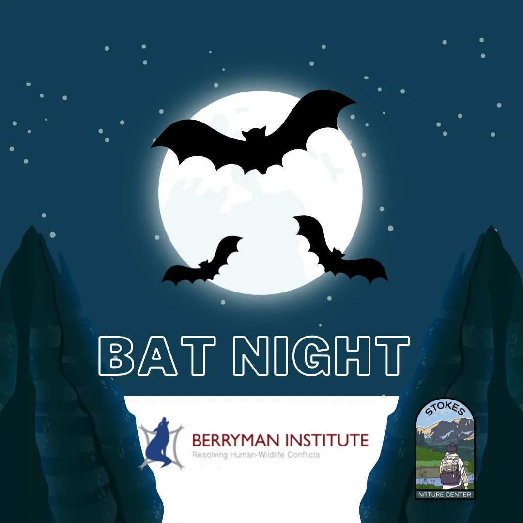 Bat Night — Stokes Nature Center