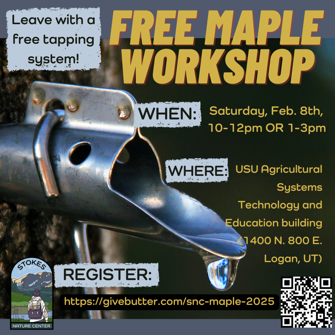 Maple Tapping Workshop — Stokes Nature Center