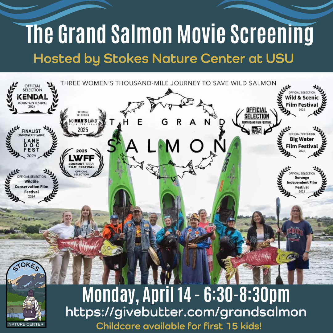 The Grand Salmon Film Screening — Stokes Nature Center