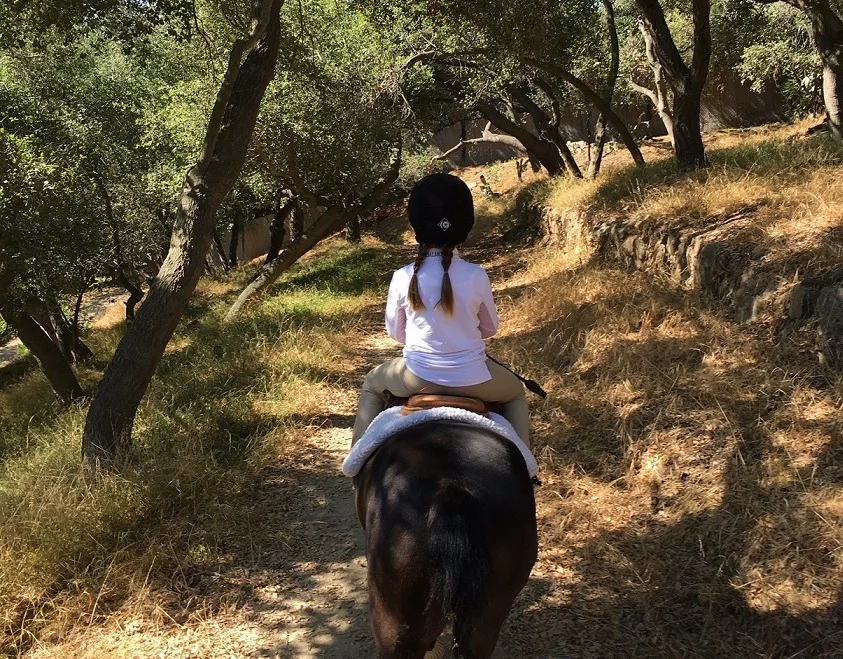 Sullivan Canyon Preservation Association