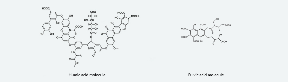 Humic Acid Structure