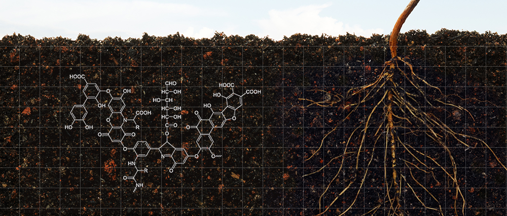 Humic Acid Structure