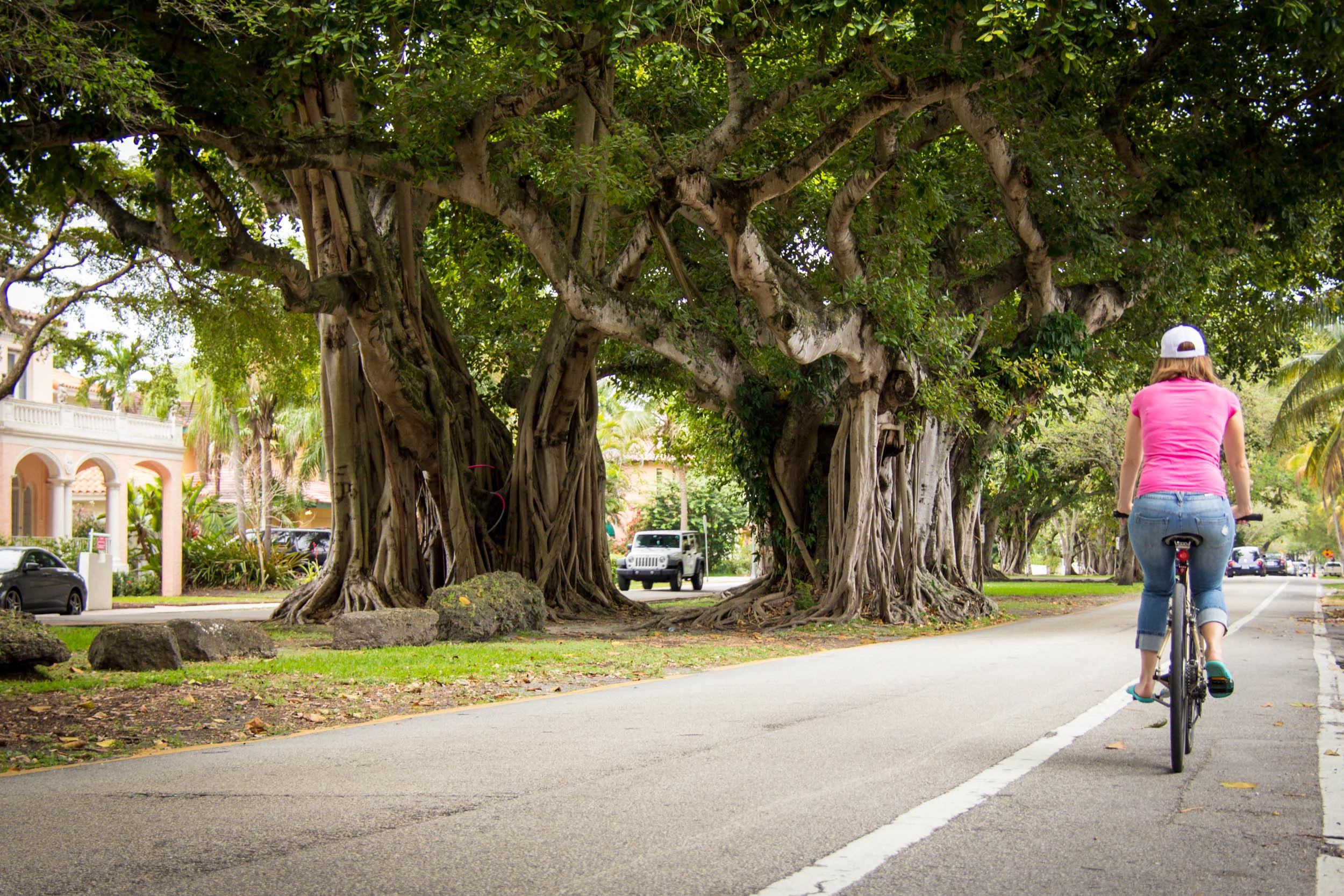 Bike Walk Coral Gables