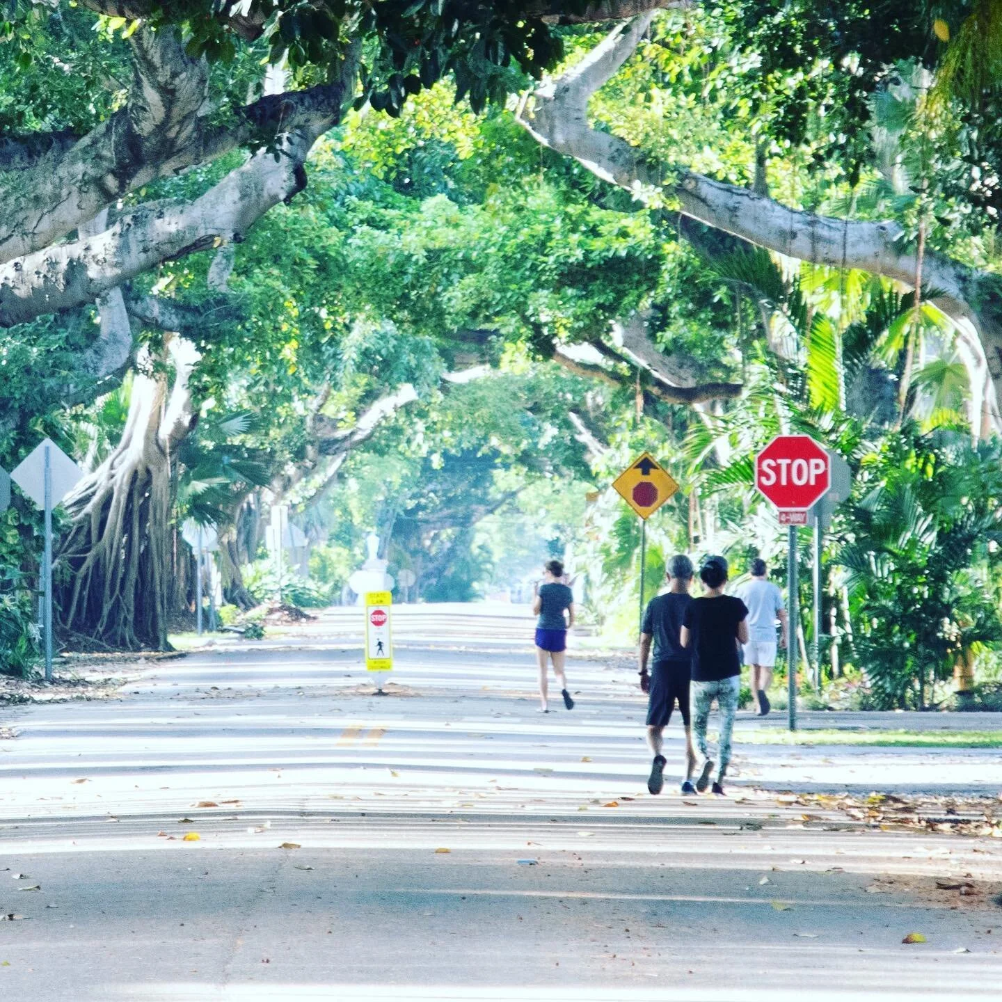 Bike Walk Coral Gables