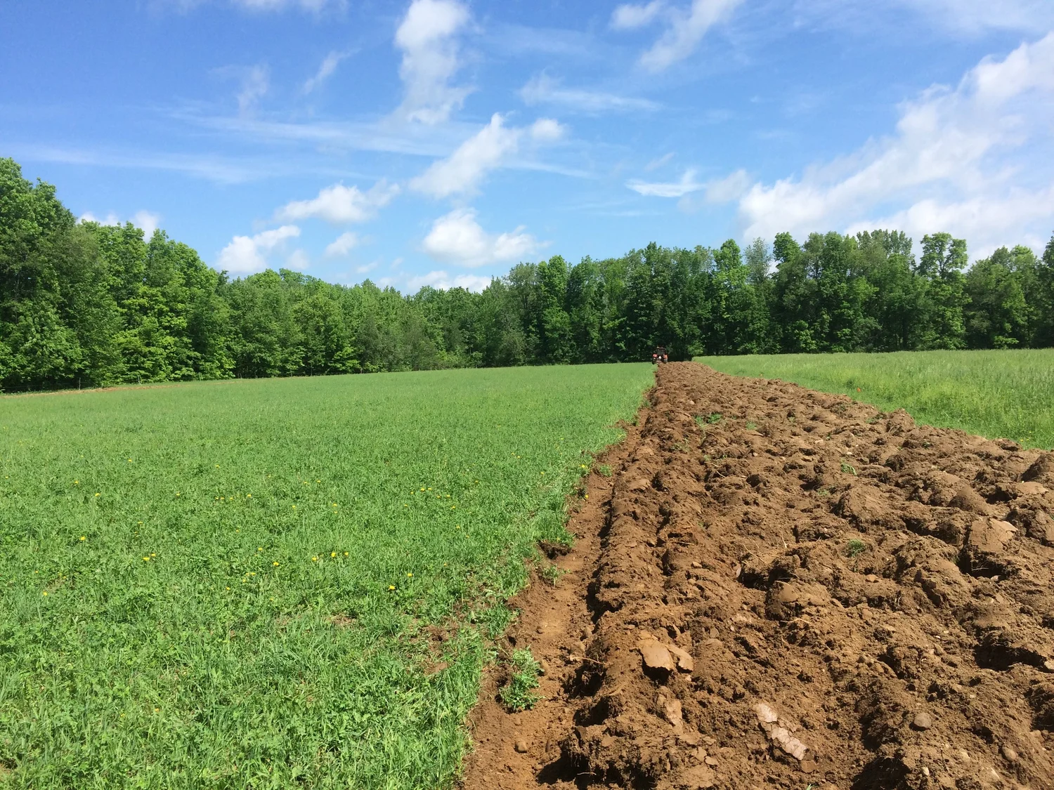 About the Farm — Featherbed Lane Farm