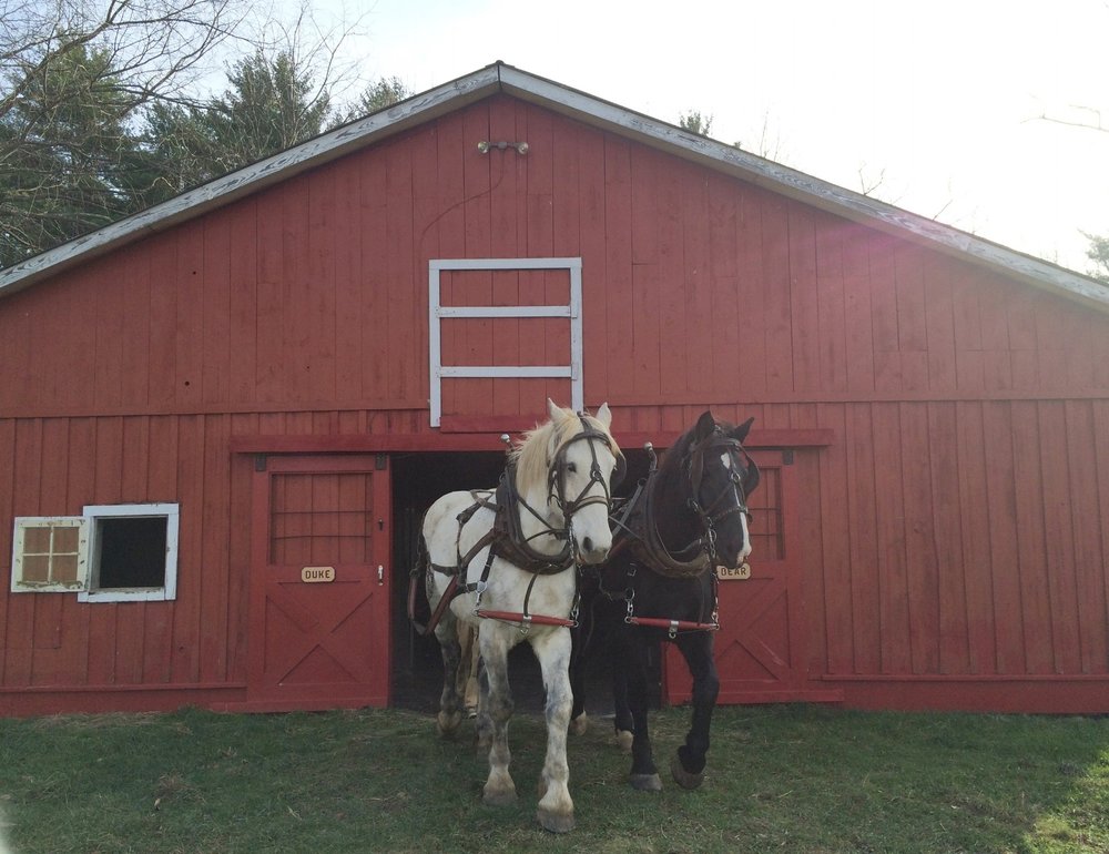About the Farm — Featherbed Lane Farm