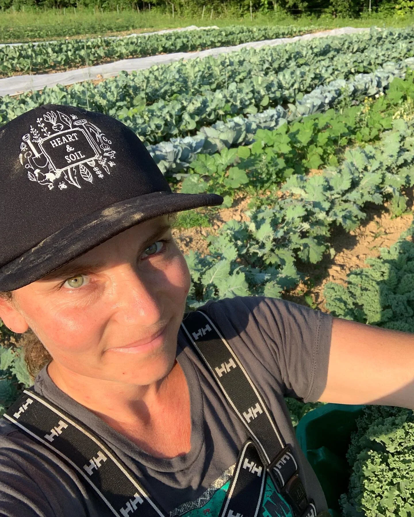 About the Farm — Featherbed Lane Farm