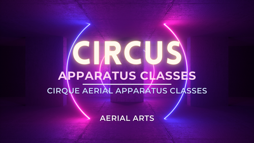 Circus Classes — Studio Seva: Yoga, Aerial Yoga, Weight Training, and ...