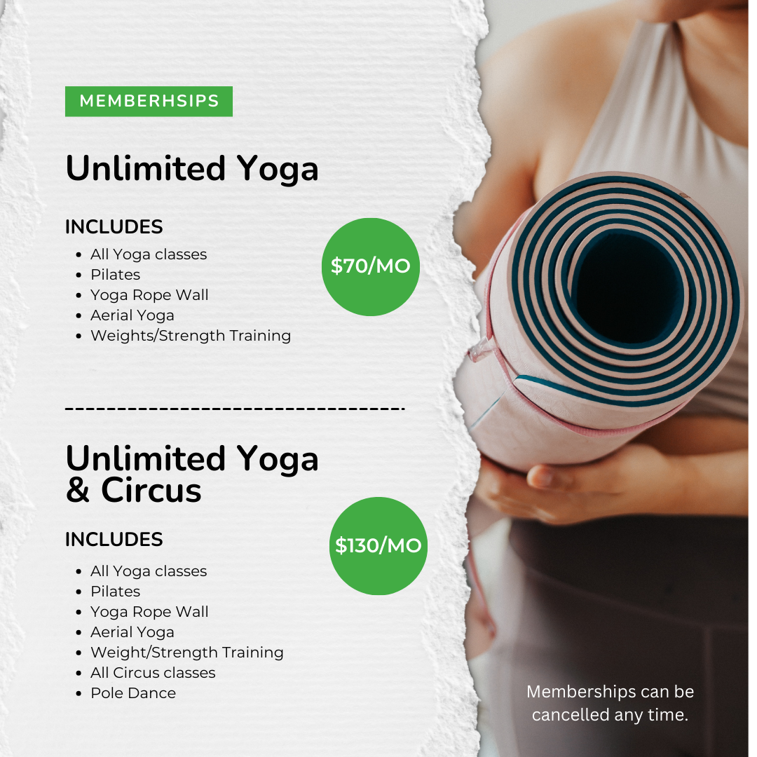 Store & Pricing — Studio Seva: Yoga, Aerial Yoga, Weight Training, and ...