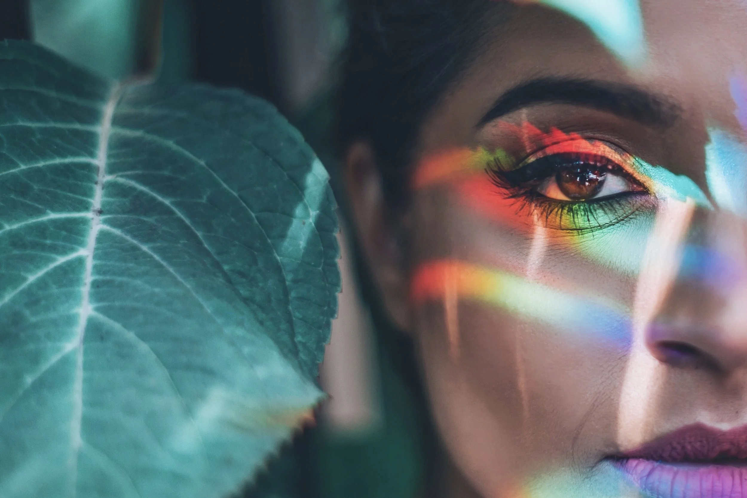 Photography — Brandon Woelfel