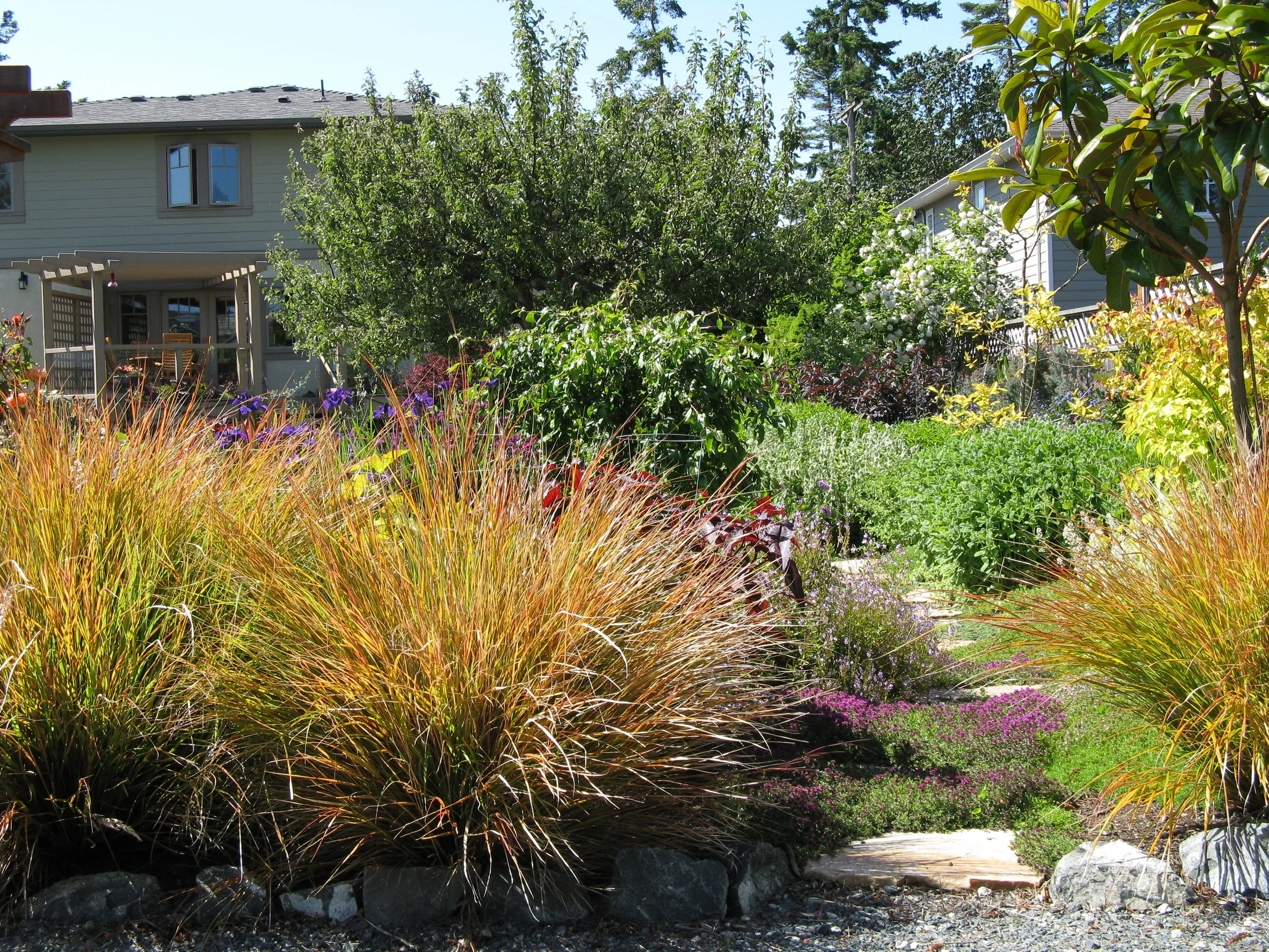 Urban Habitats Landscape Studio