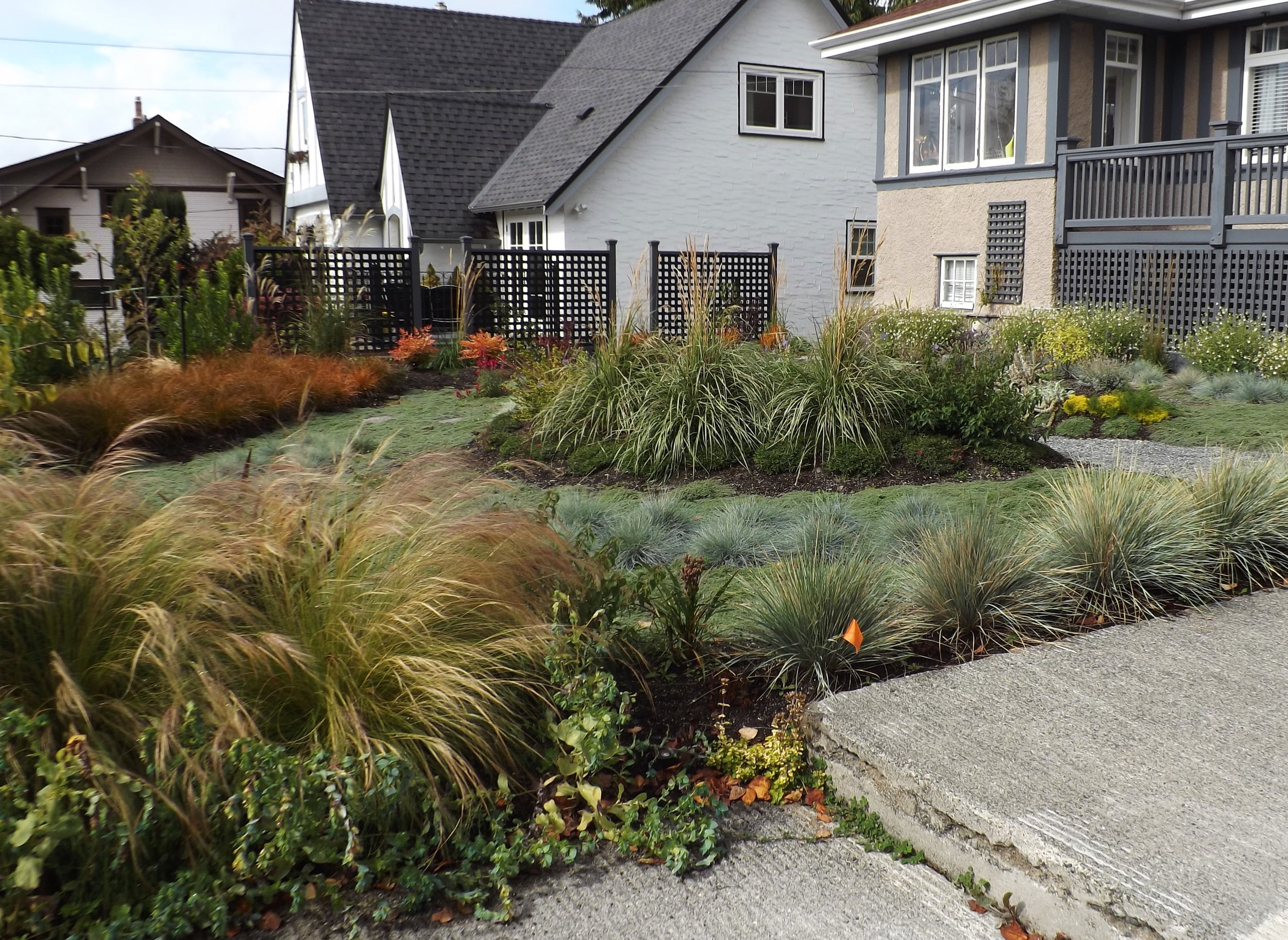 Urban Habitats Landscape Studio