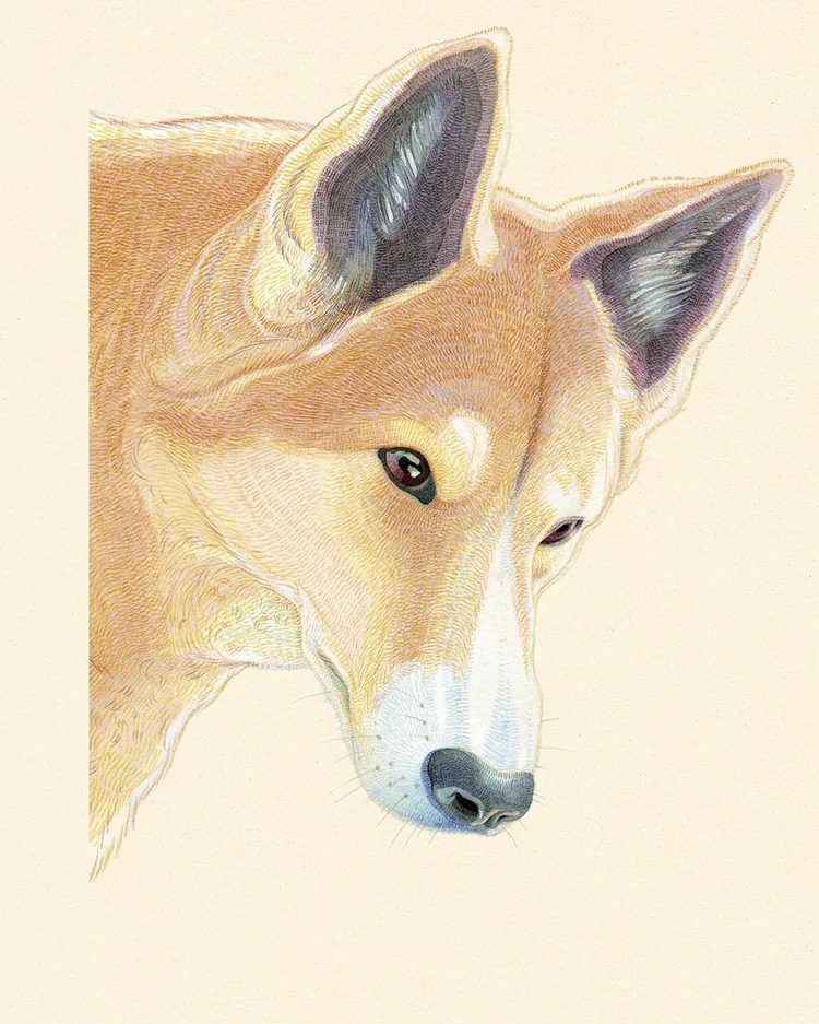 Support Material — Matt Chun