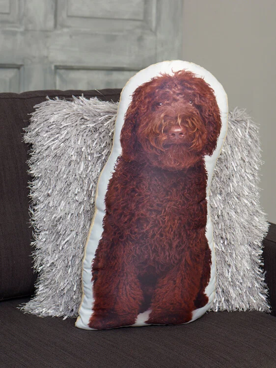 Cockapoo Gifts — Two Woofs