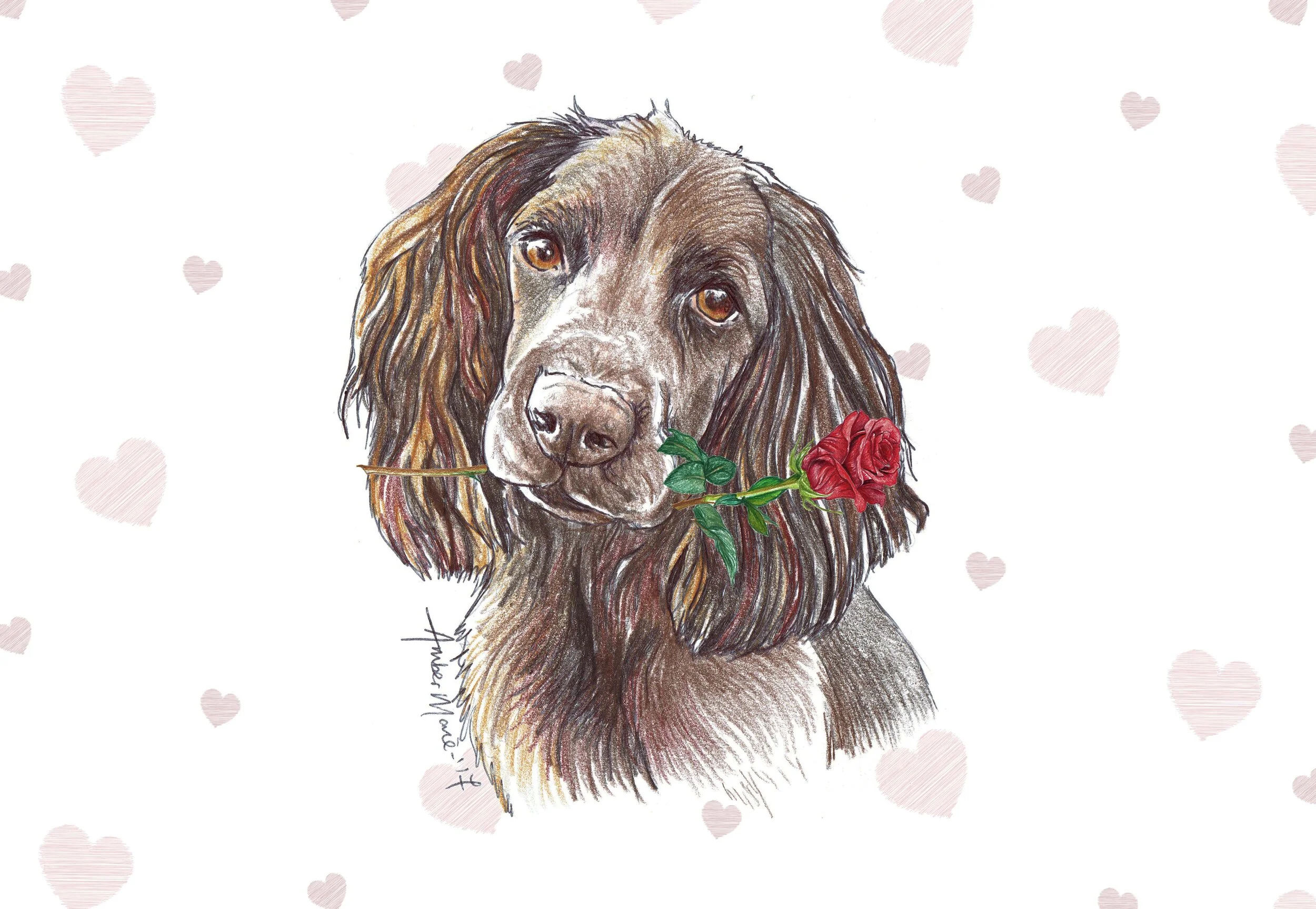 Cocker Spaniel Gifts — Two Woofs