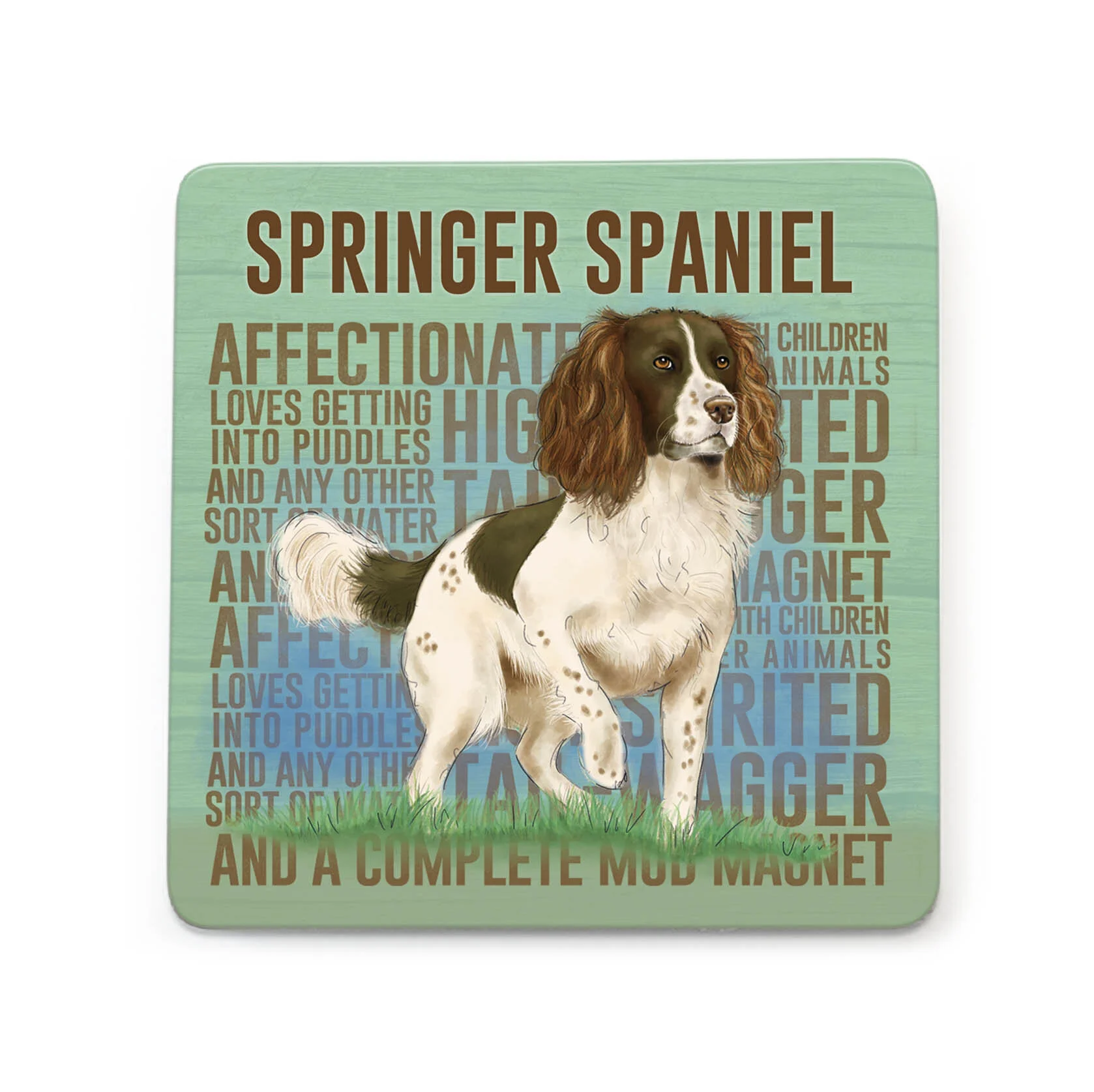 Springer Spaniel Gifts — Two Woofs