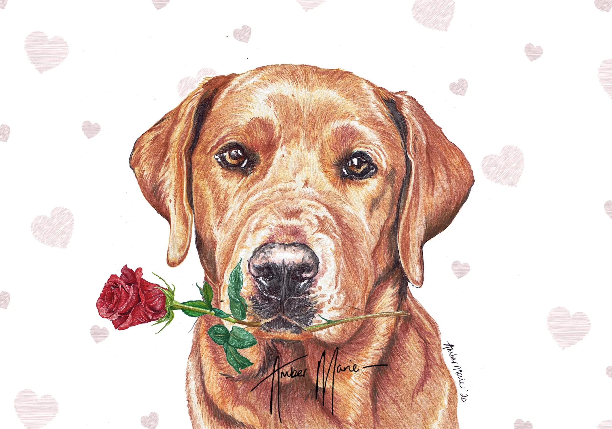 Labrador Gifts — Two Woofs