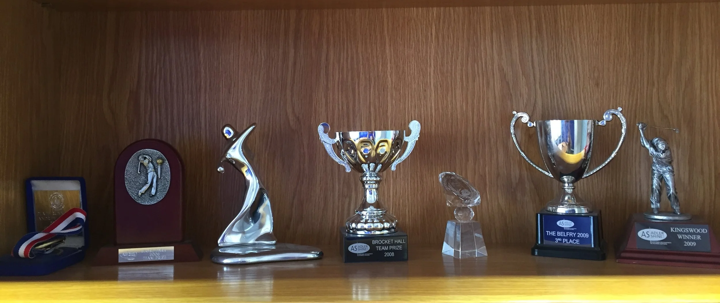 Audit & Assurance — Adler Shine