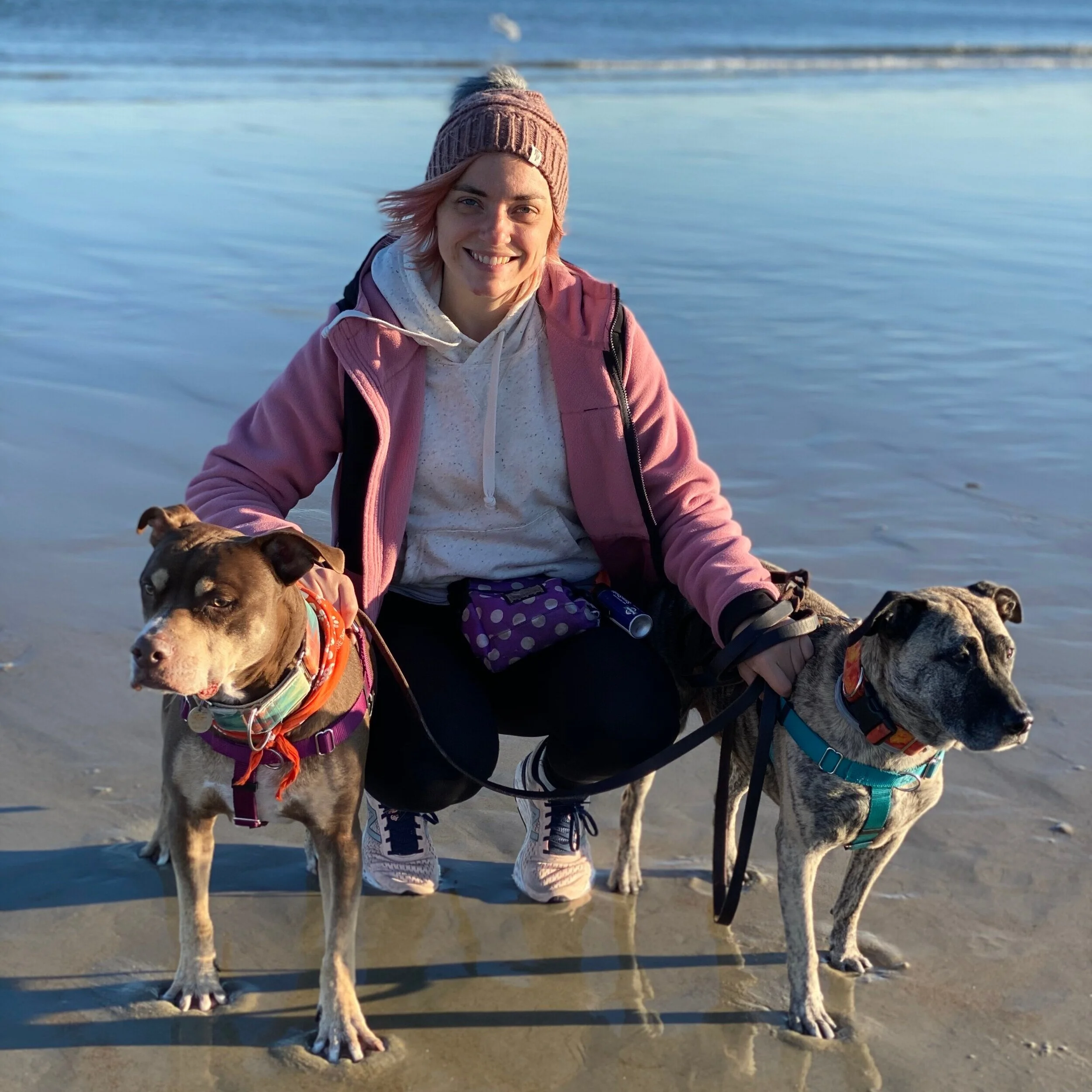 About — Shelby Semel Dog Training
