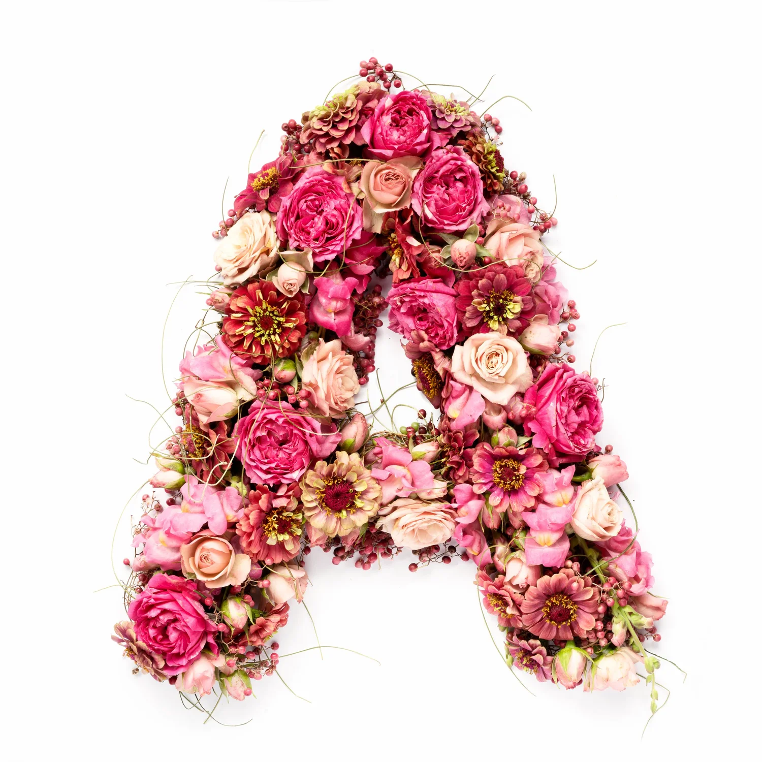 FLORAGRAPHICA