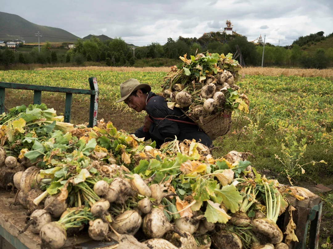Shanghai photographer-Raul Ariano