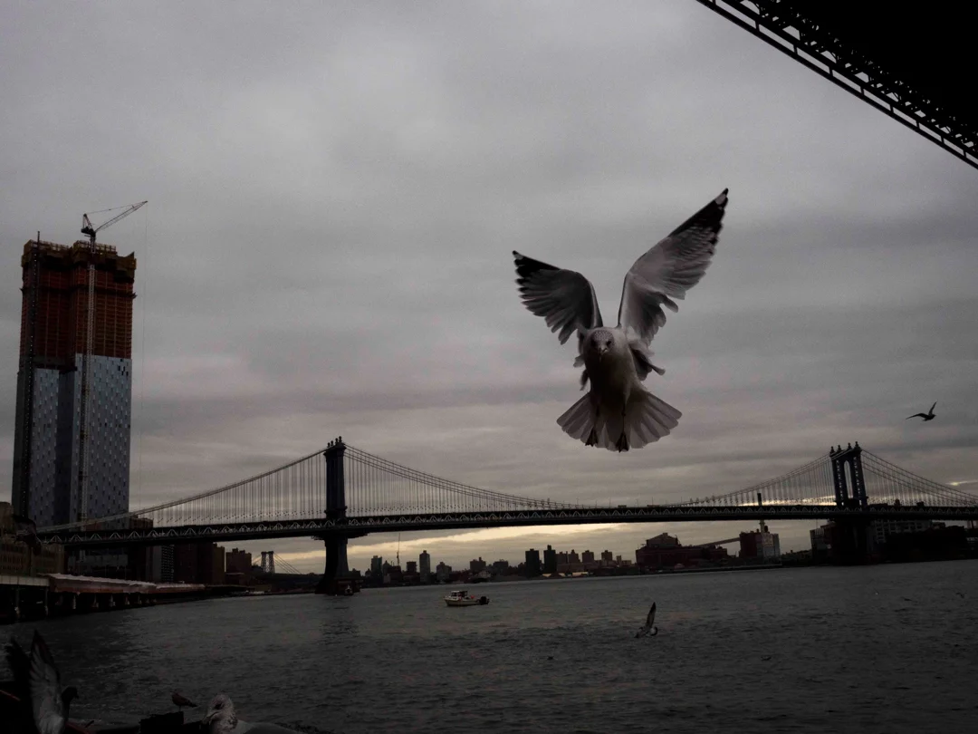 Shanghai photographer-Raul Ariano