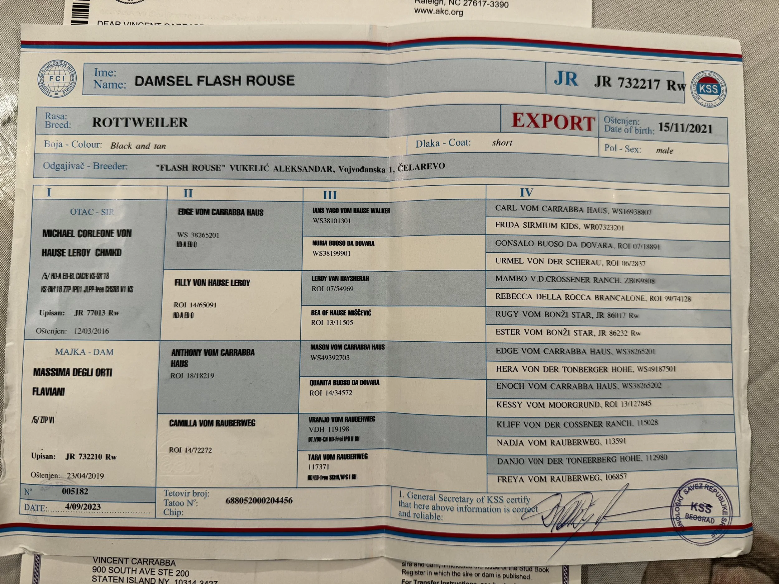 Carrabba Haus Line - Damsel Flash Rouse — Carrabba Haus Purebred German ...