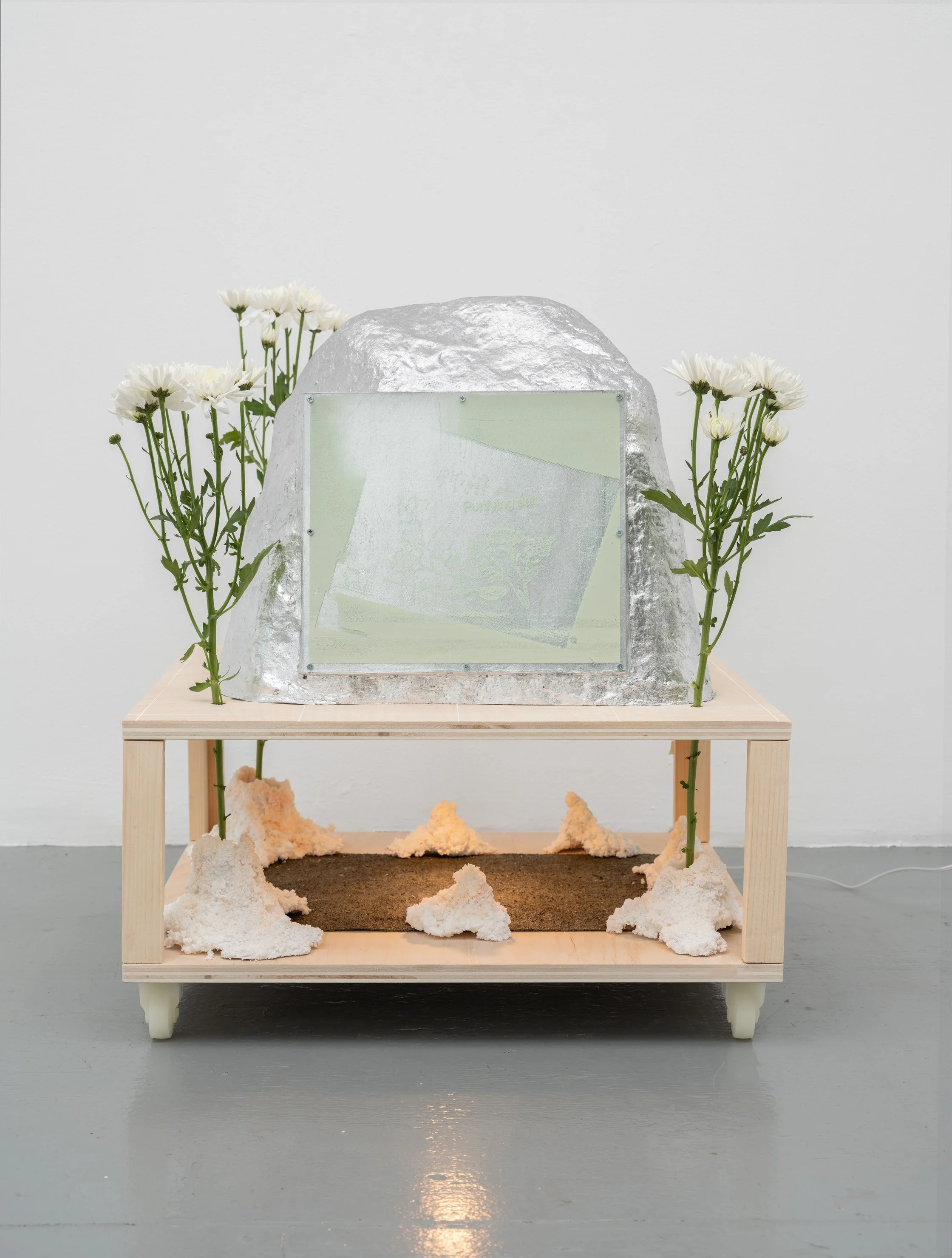 Naomi Nakazato: Spirit Duplicator — olympia