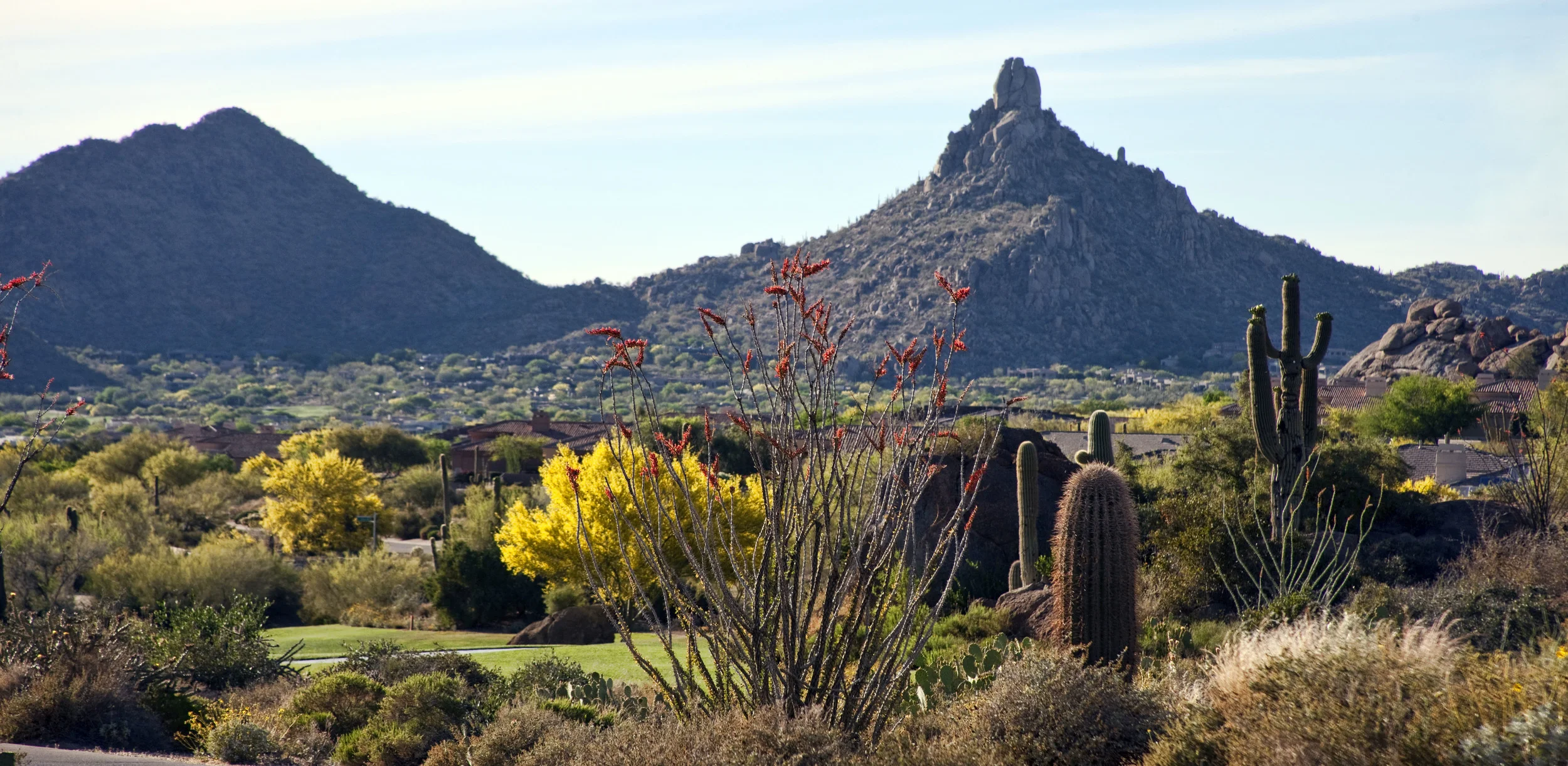 Pinnacle Presbyterian Church