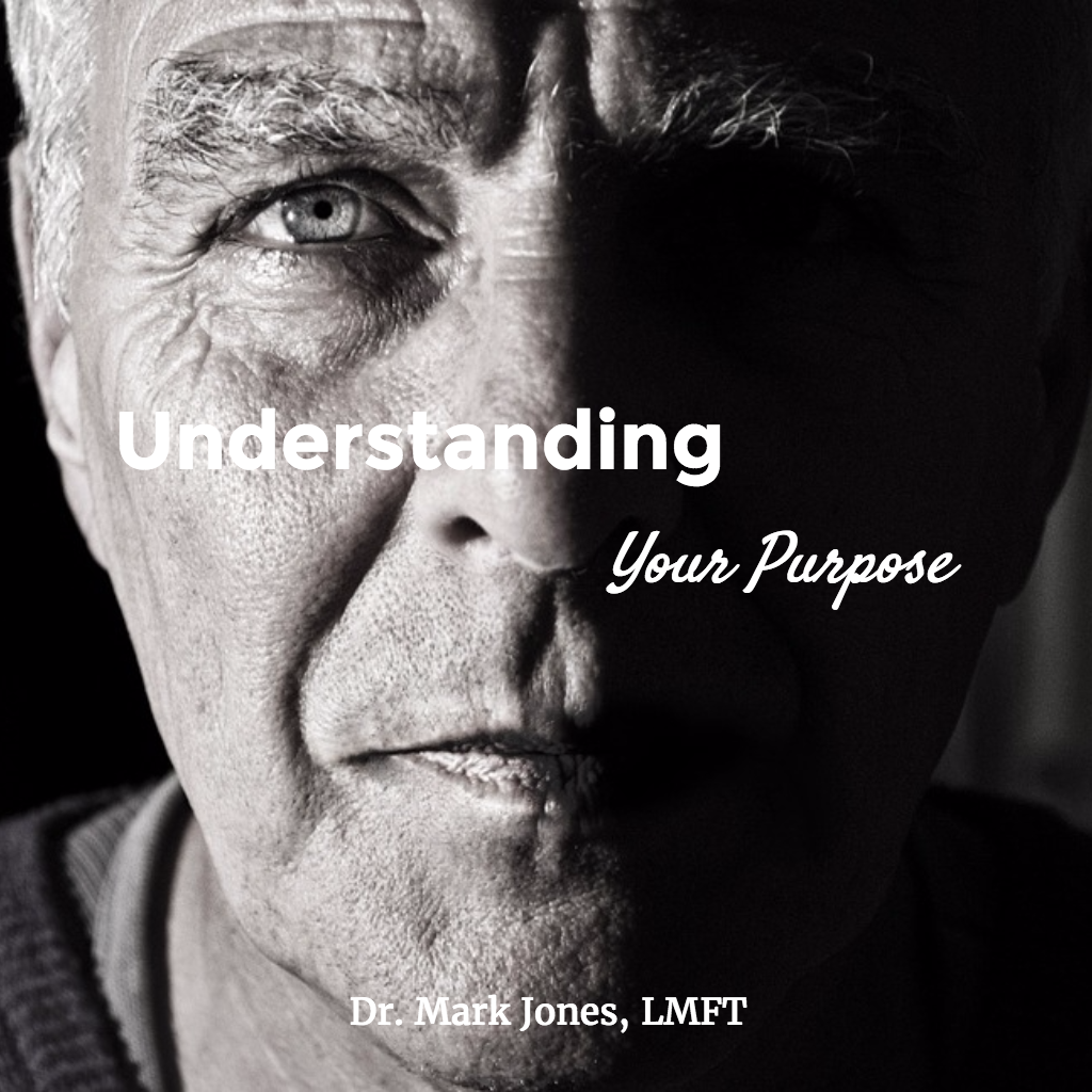 Understanding Your Purpose, Digital Download — South Texas Liberty ...