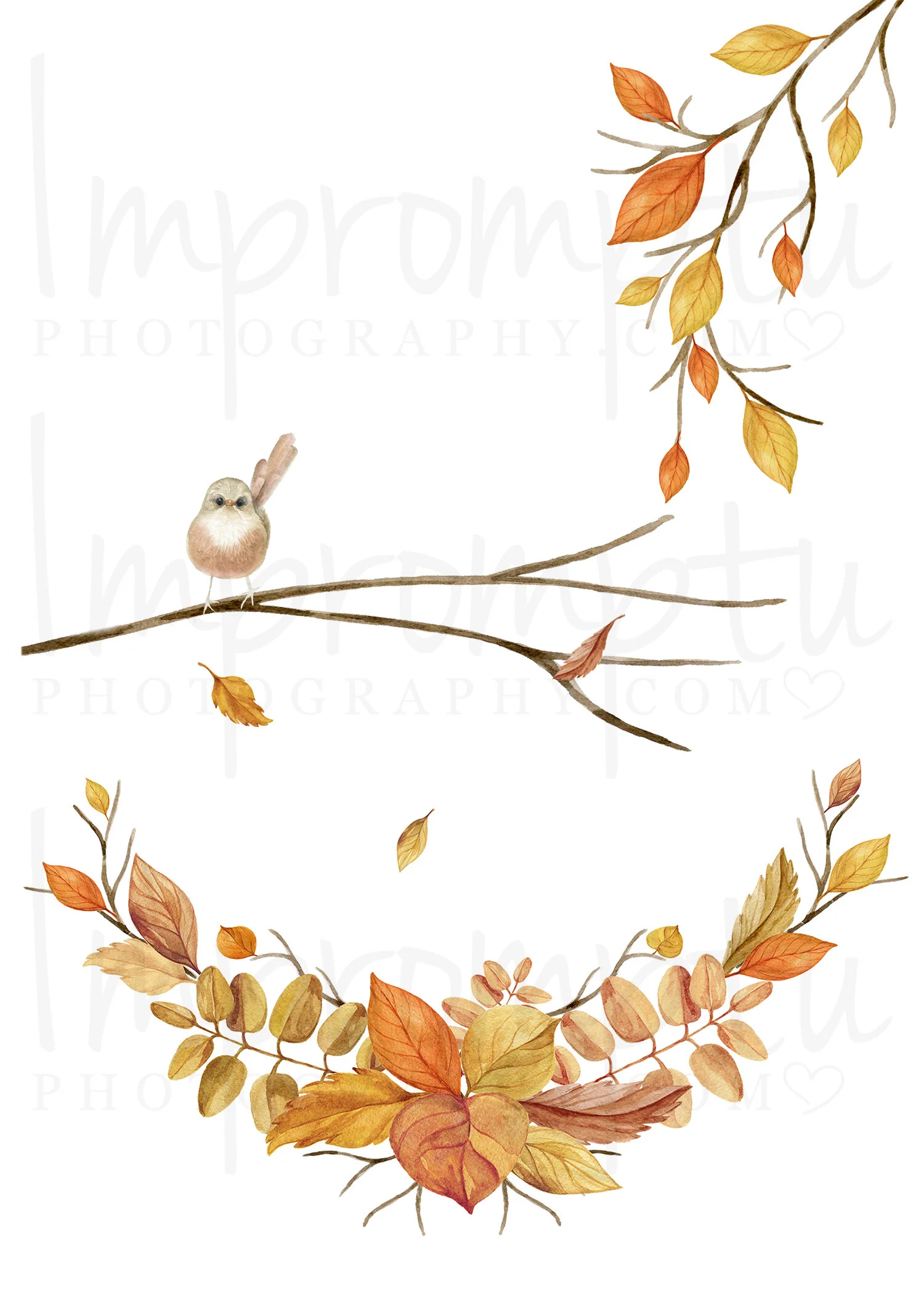 5x7 Printable Fall - Thanksgiving Card (blank inside) — Impromptu ...