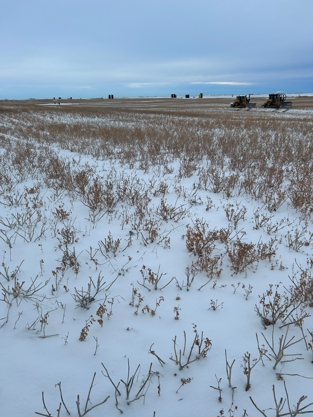 Waseca Formation Wells (Kerrobert, SK) — Sonoro Energy