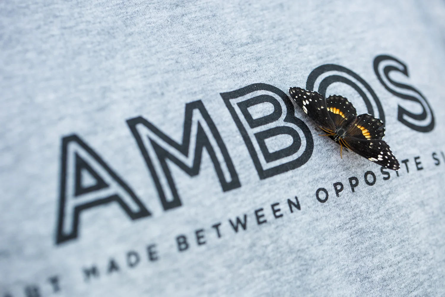 MISSION — AMBOS